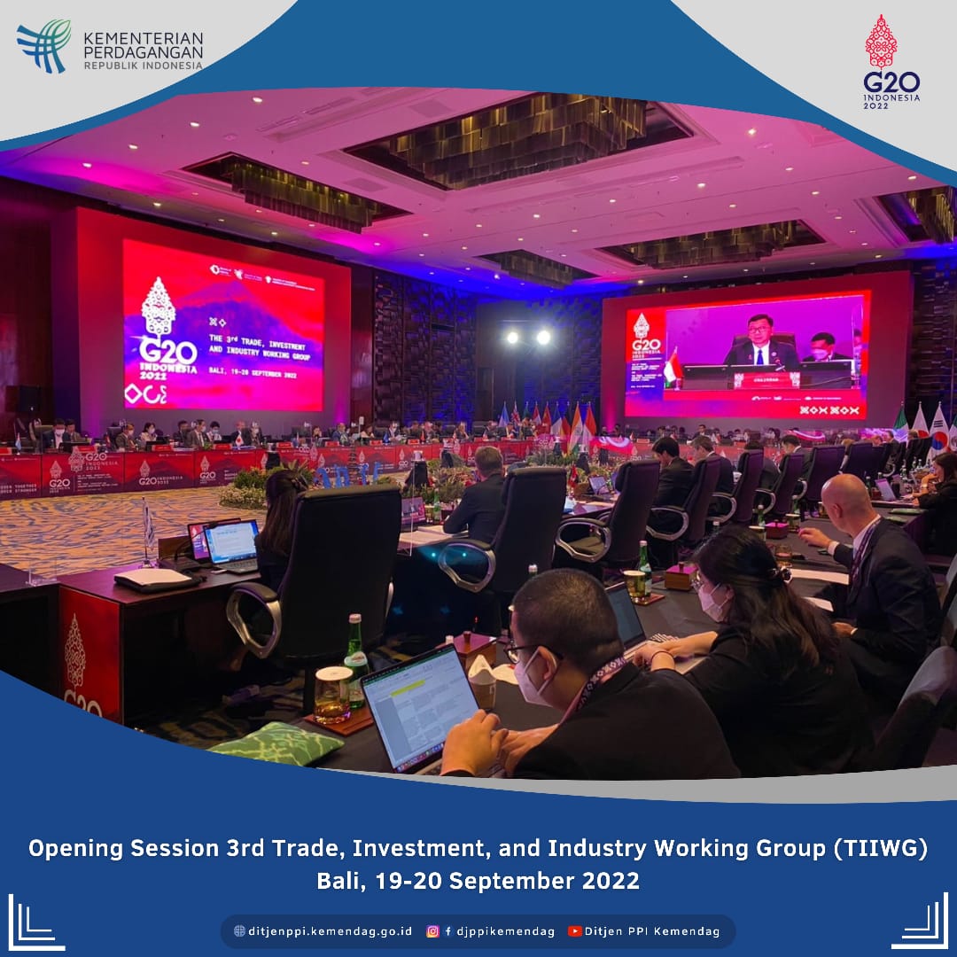 Pertemuan Ketiga G20 Trade, Investment, and Industry Working Group ...